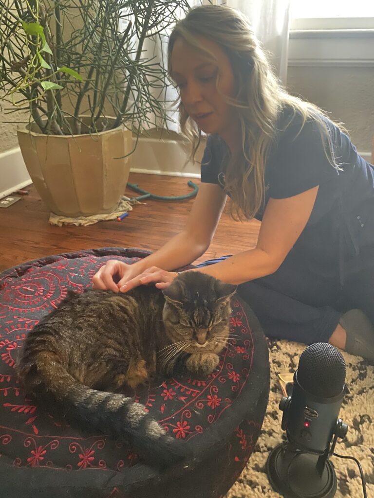 Holistic Revolution - The Sound Of A Cat Having Acupuncture On The ...