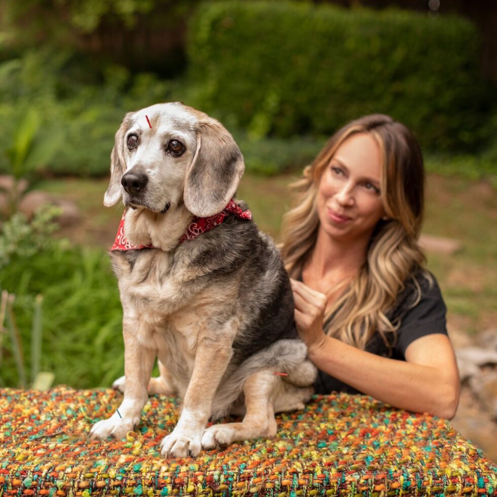 Review Us In Nashville, TN 37216 | Dr. Neely North